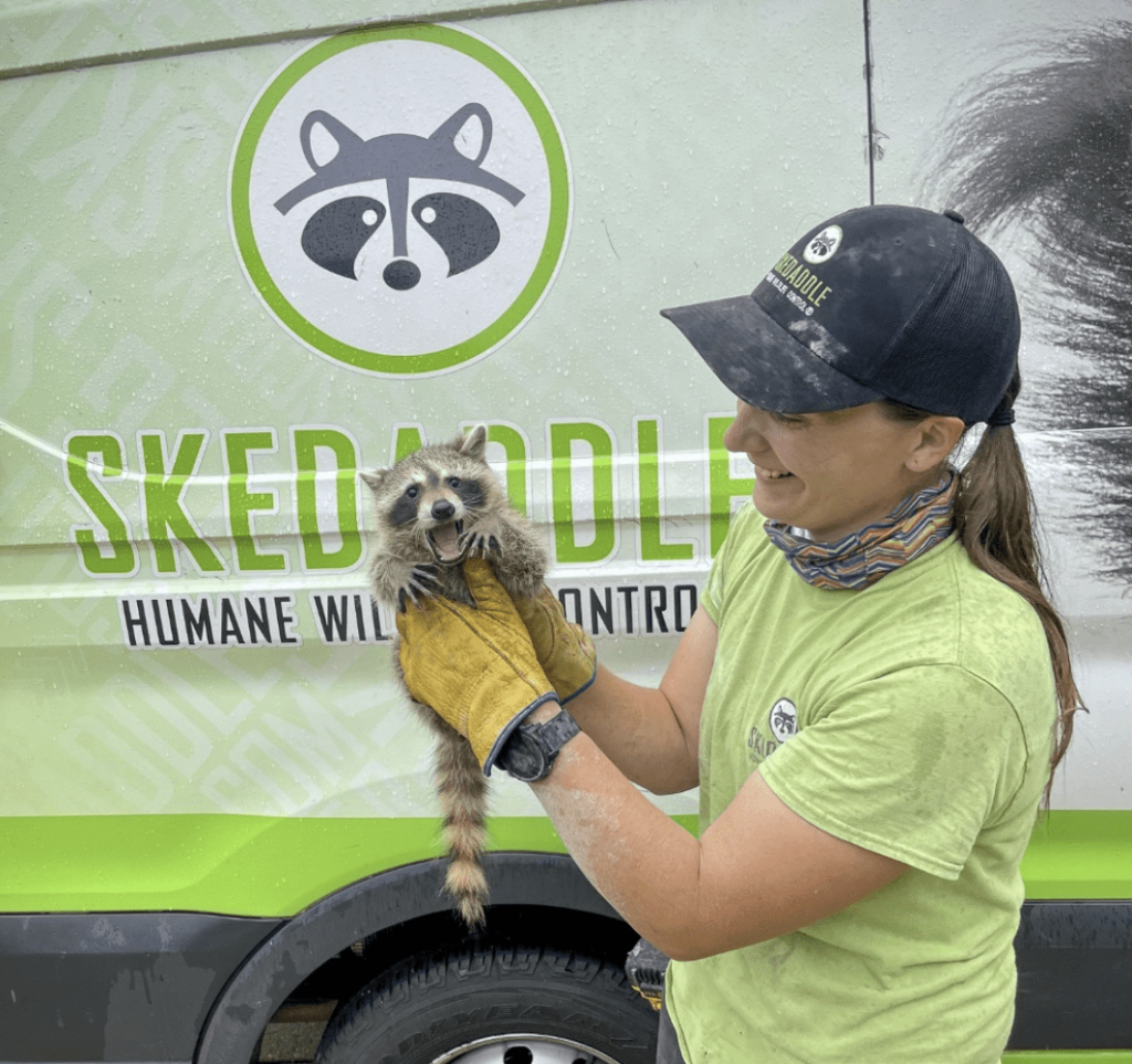 Skedaddle Franchise Cost, Fees & Earning Stats [2025]